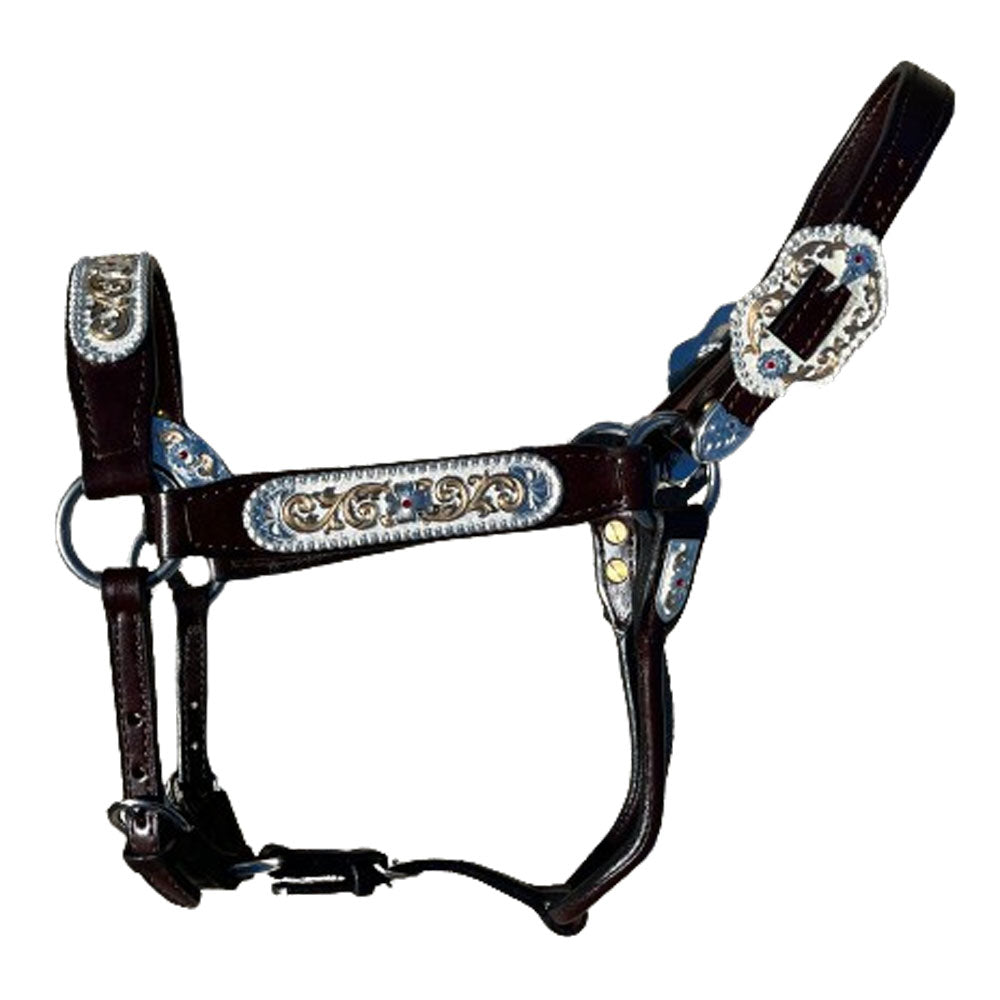 Horse Show Halters and Leads | Showmanship Halters | The Wire Horse