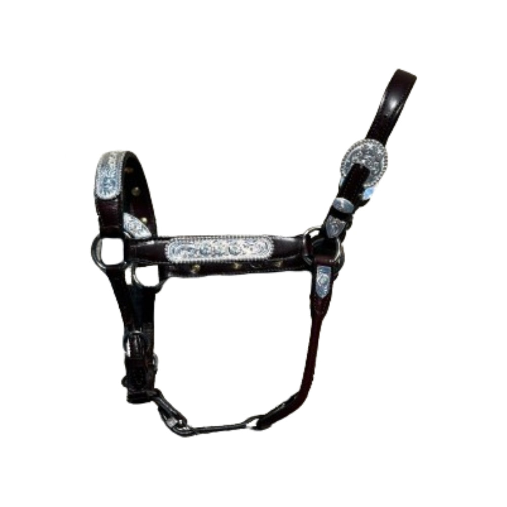 Horse Show Halters and Leads | Showmanship Halters | The Wire Horse