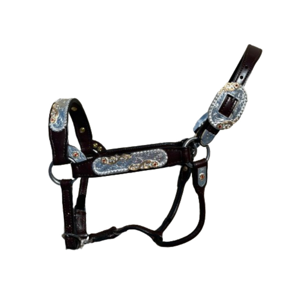 Horse Show Halters and Leads | Showmanship Halters | The Wire Horse
