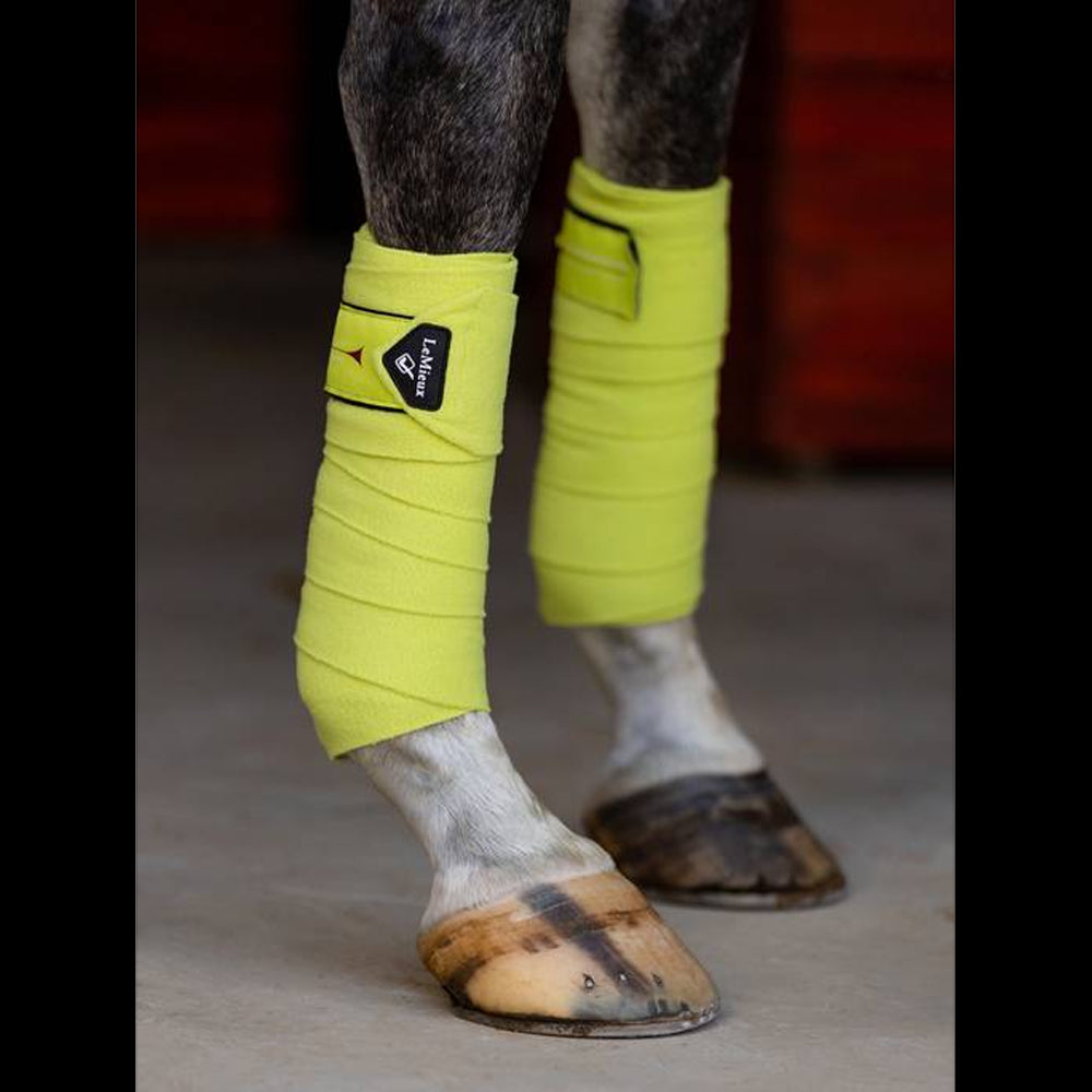 Horse Fly Boots Horse Boots – Leg Wraps | Iron Horse Equestrians Fly ...
